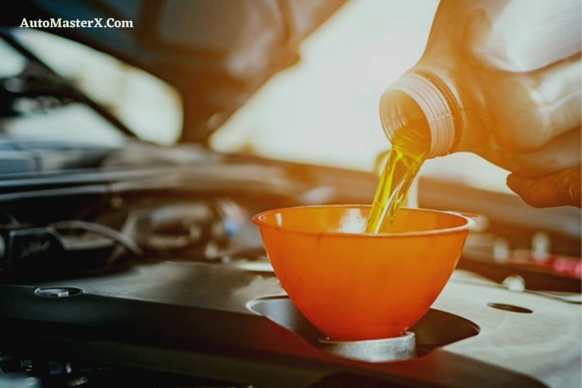 Motorcraft Oil Vs Castrol Oil – The One Your Engine Loves The Most?